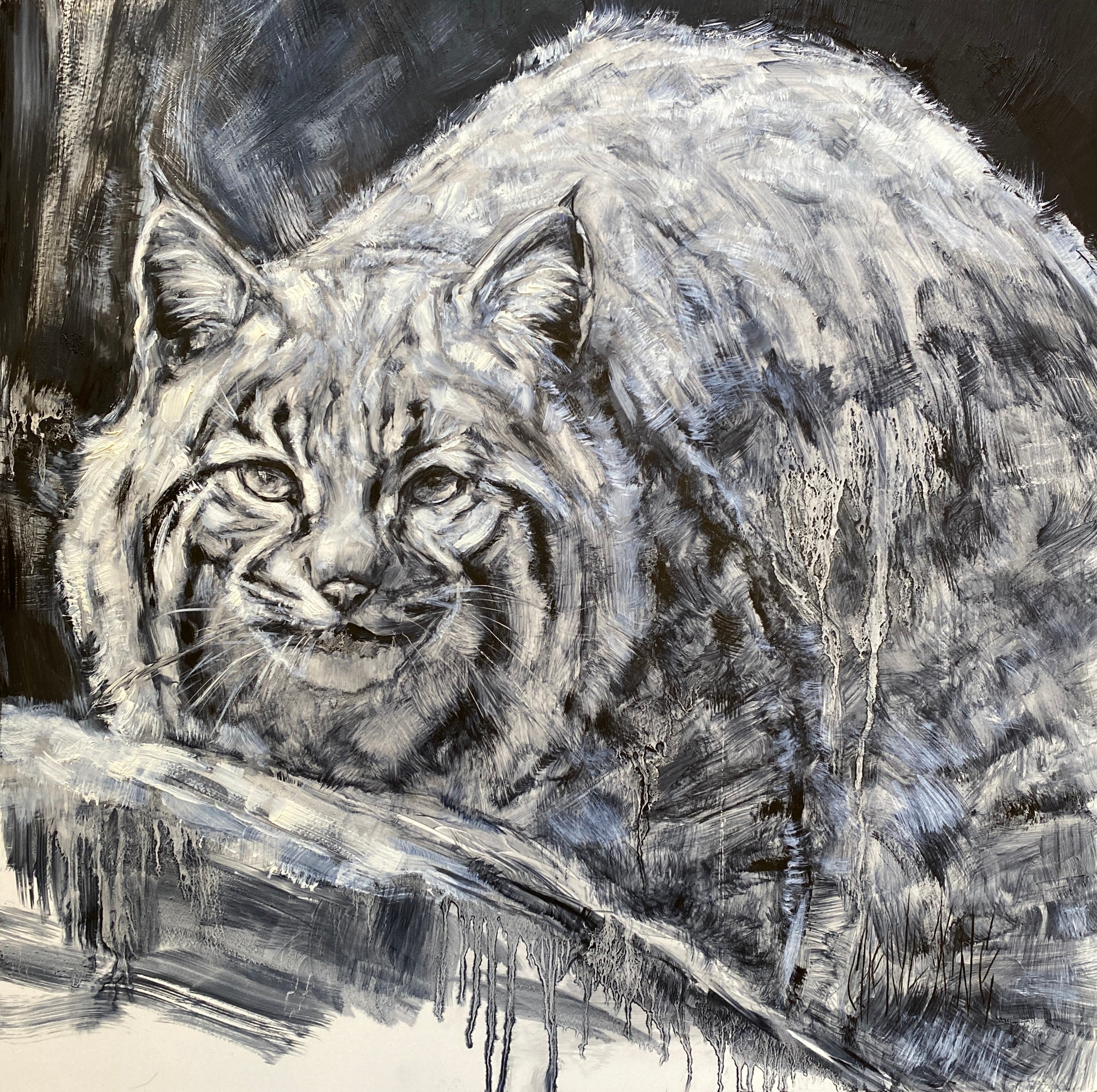 Black and White – Cheryl King Studios