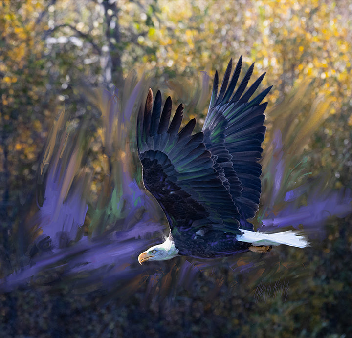 Flying Bald Eagle Painting Eagle King Of The Skies Canvas Print By
